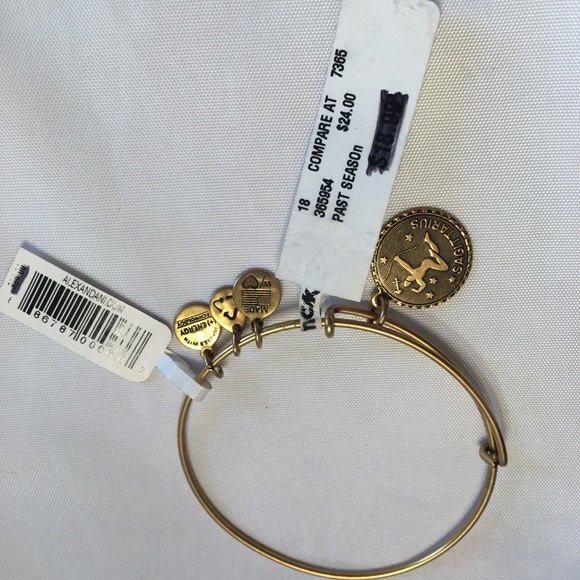 Alex and Ani | Jewelry | Alex Ani Sagittarius Russian Gold Energy ...